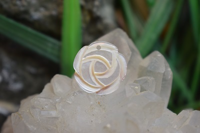 صدف کاروینگ S7499 | گوهران شاپ